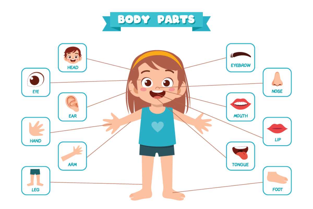 Keep Your Hands Away from these Body Parts